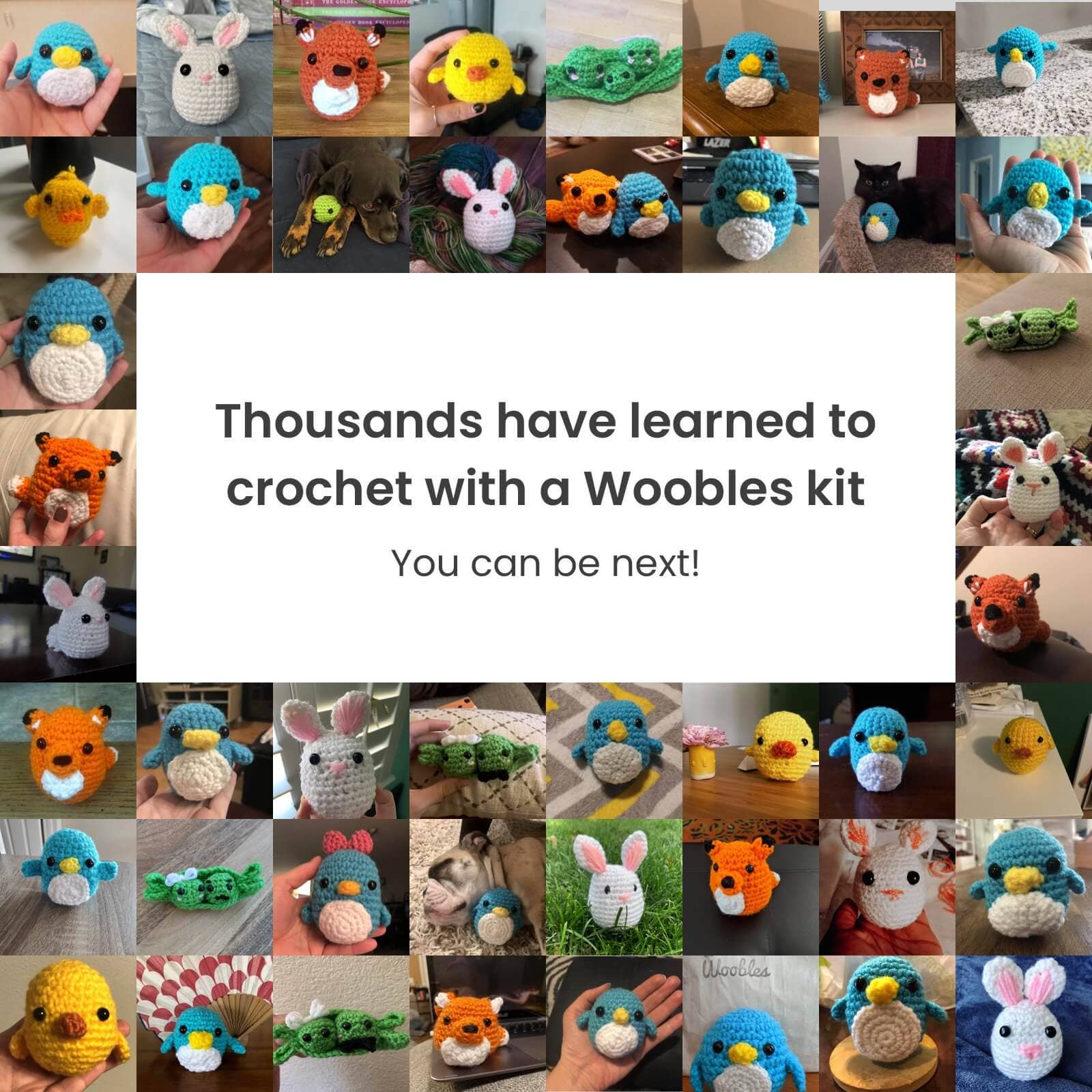 The Woobles - Pierre the Penguin Beginner Crochet Kit | Parcero Studio